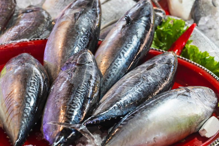 Poissons pas cher : 5 espèces bon marché à connaître – Blender ...